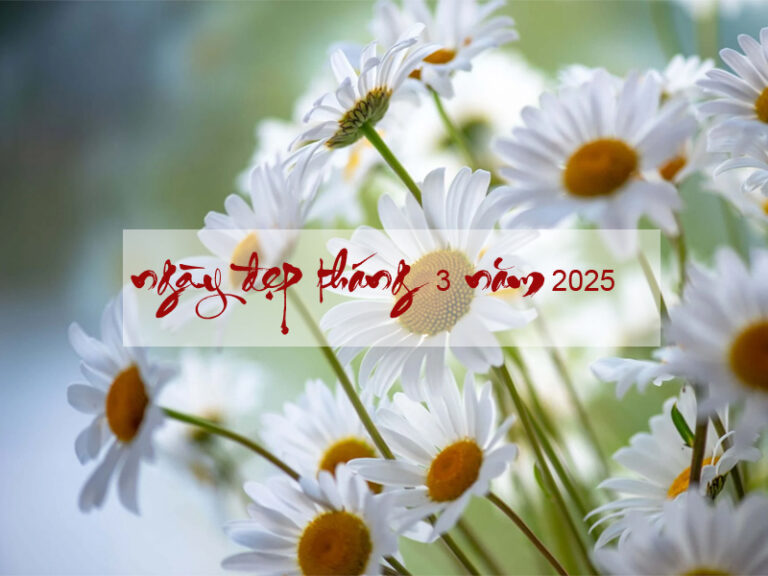 Ngày đẹp tháng 3 năm 2025: Lựa chọn hoàn hảo cho các sự kiện quan trọng - Thu Mua Phế Liệu Linh ...